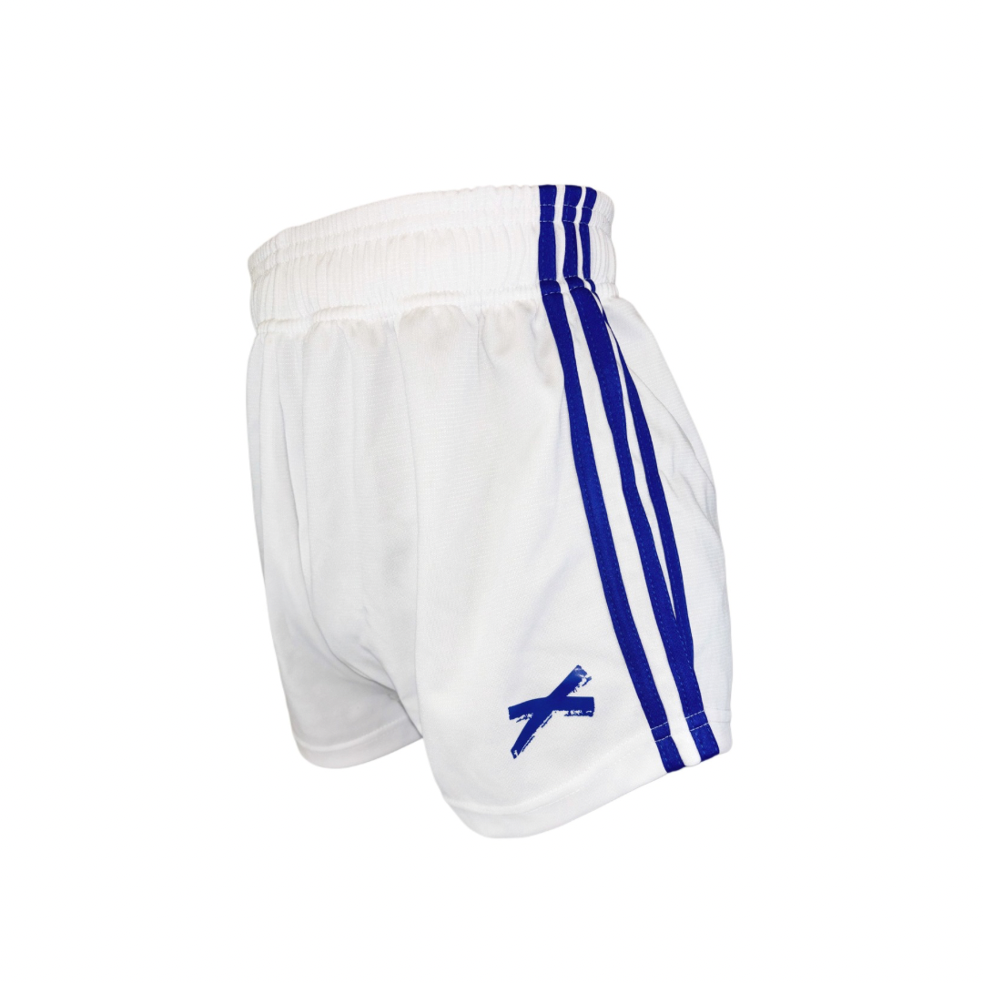 GAA Shorts (White & Blue) – Lar Corbett Sports